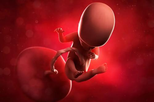 13 Weeks Pregnant: Start of Your Second Trimester - BabyYumYum - BabyYumYum