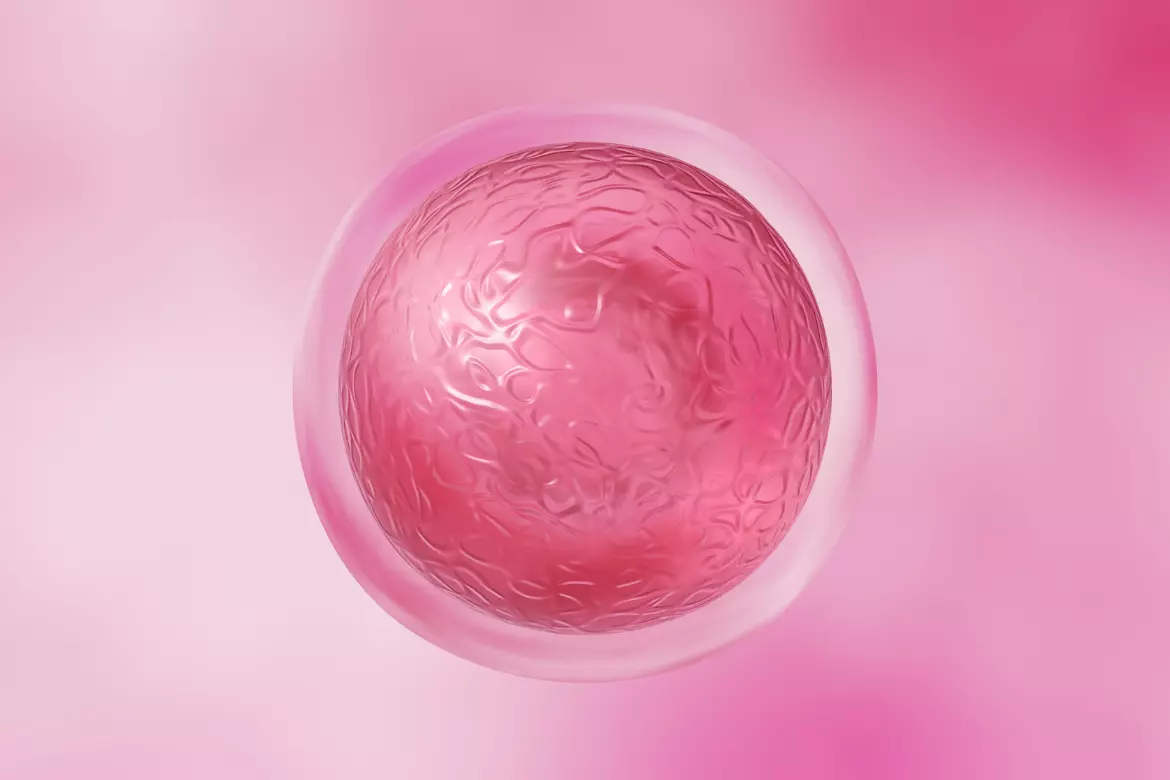Baby Yum Yum - Supreme cells The potency of stem cells - BabyYumYum