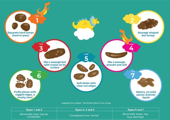 Types of Bowel Movement - BabyYumYum