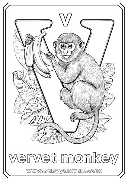 Download Free Alphabet South African Animals Colouring Pages - BabyYumYum